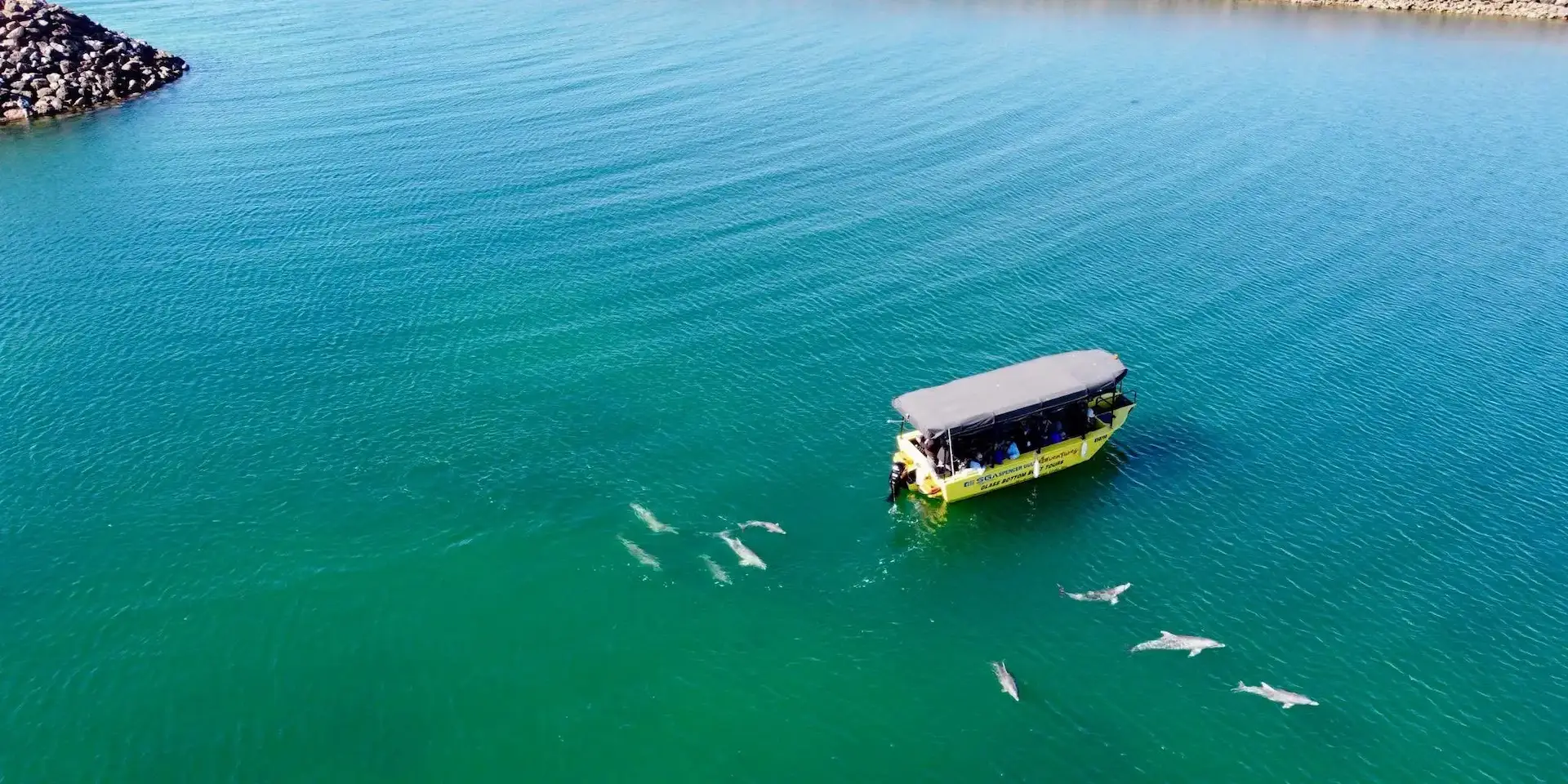 Spencer Gulf Adventures | Cuttlefish & Boat Tours Whyalla