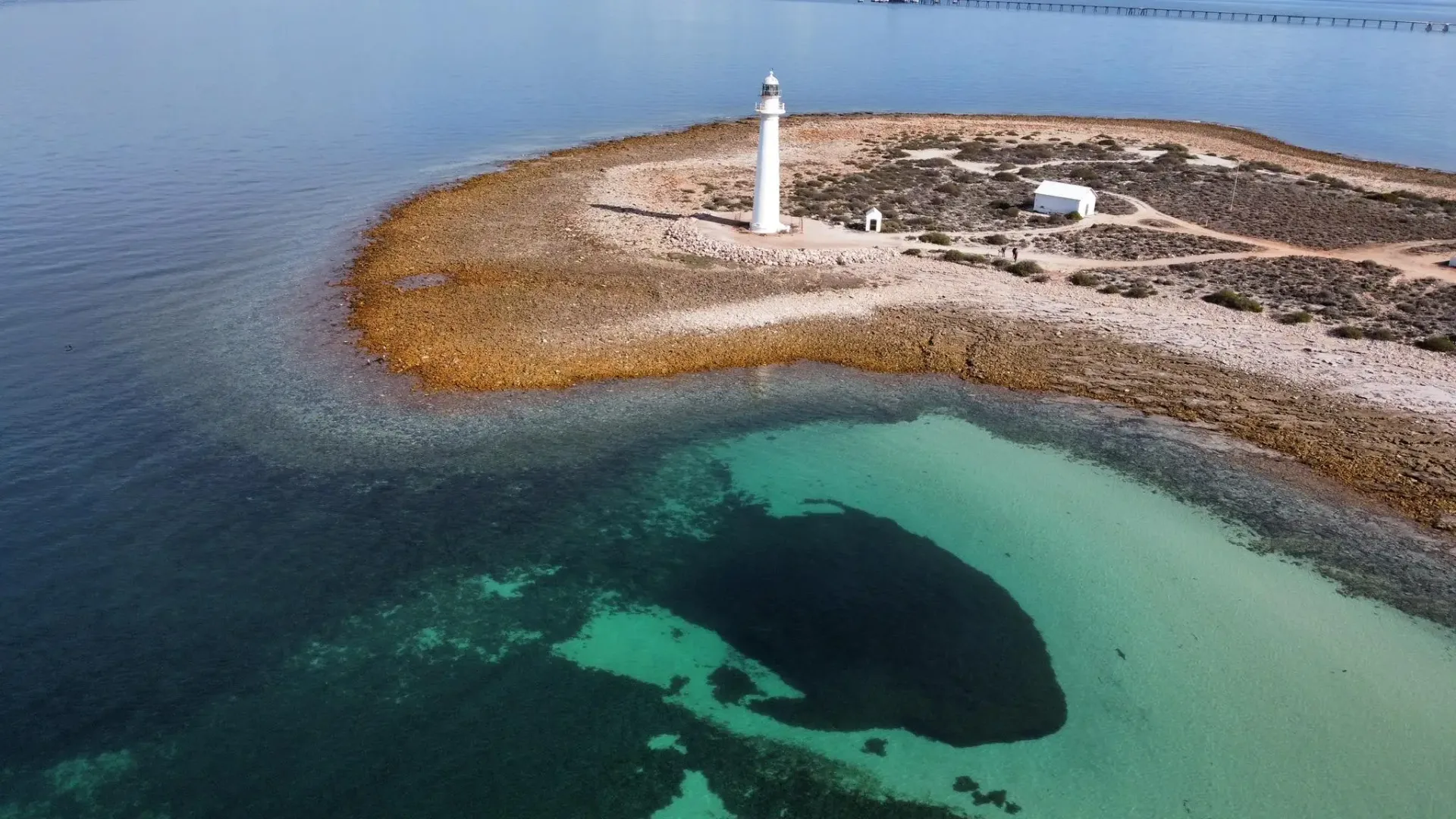 Spencer Gulf Adventures | Cuttlefish & Boat Tours Whyalla