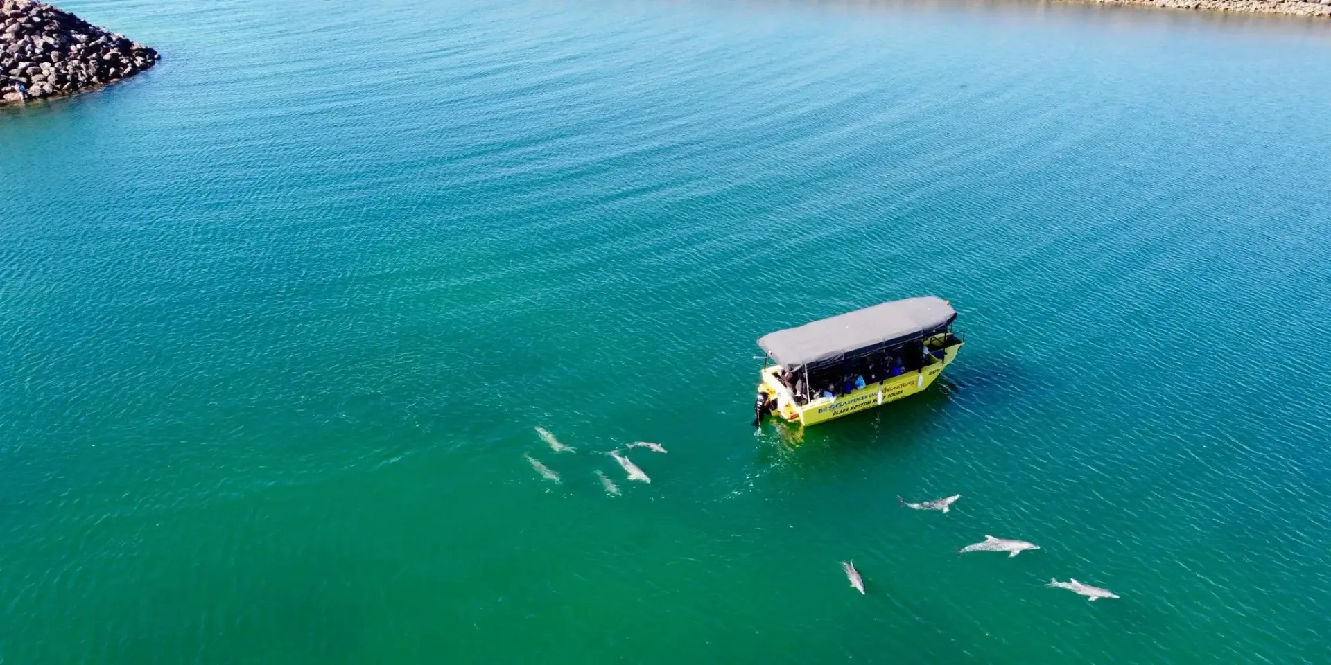Spencer Gulf Adventures | Cuttlefish & Boat Tours Whyalla